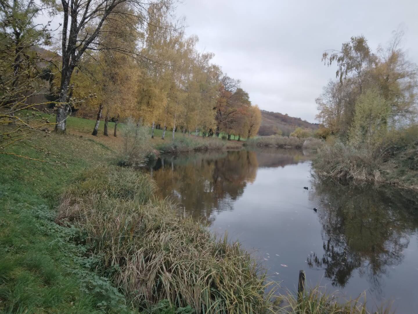 parmenie - Randobrezins - Les chemins de traverse
